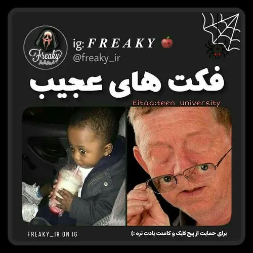 فکت های عجیب 😐🍃 عکس ویسگون