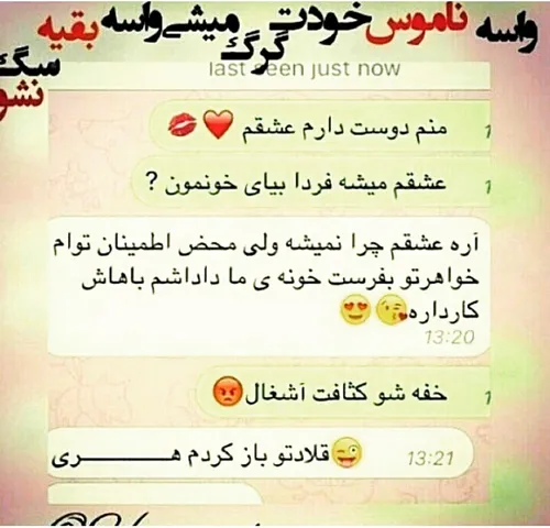 واسِـه نـامـوس خُـودِت گُـرگ مـیـشـے واسِـه بَـقـیـه سَـگ عکس ویسگون